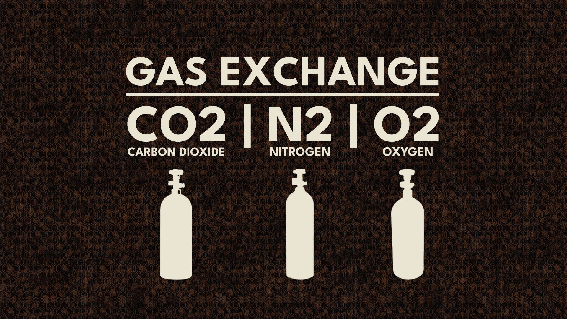 CO2 | Nitrogen | Oxygen Tanks – tagged "2.5# CO2 Tank" – Bitter & Esters